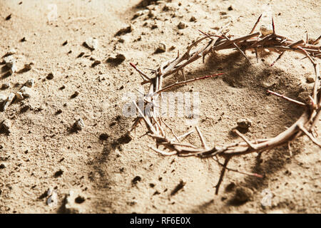 Crown of thorns lying on barren ground in close up view Stock Photo - Alamy