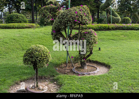 During tihe celebrations for the King of Thailand’s 60th anniversary of ...