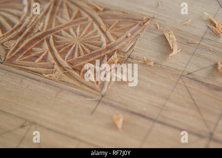 The Mulanje Cedar, Widdringtonia whytei, is critically endangered due ...