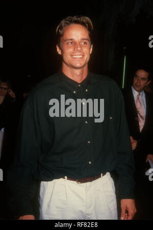 HOLLYWOOD, CA - NOVEMBER 1: Actor Mitchell Anderson attends the ...