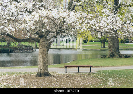 spring in yale university, USA Stock Photo - Alamy