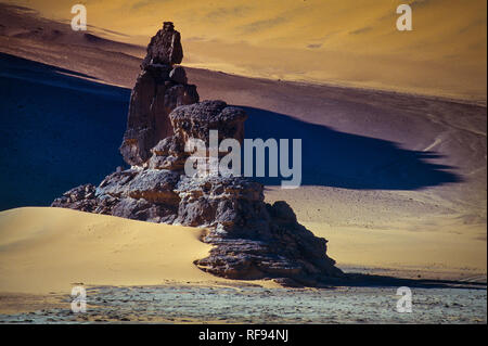 Algeria, Tassili n'Ajjer National Park, Sahara desert, flowering plant ...