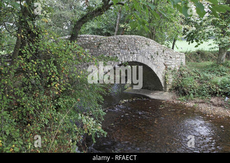 Packhorse bridge near Beckford Membury Devon England UK Stock Photo - Alamy