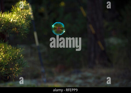 Small soap bubble floating in the air against the blue sky Stock Photo ...