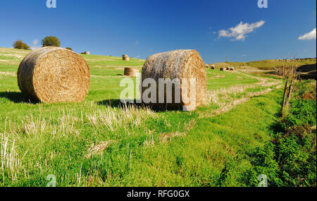 Chalk downland at Calstone Coombes, Wiltshire Stock Photo - Alamy
