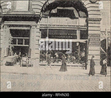 D Landreth Seed Company Stock Photo - Alamy