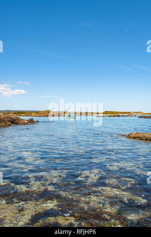Pieman River, Arthur-PIeman Conservation Area, Tasmania, Australia ...