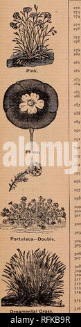 . Pearce's seeds, 1896. Nursery stock Ontario Catalogs; Flowers Seeds ...