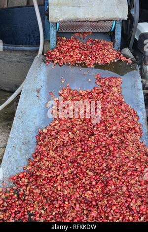 Coffee pulping machine, Colombia Stock Photo - Alamy