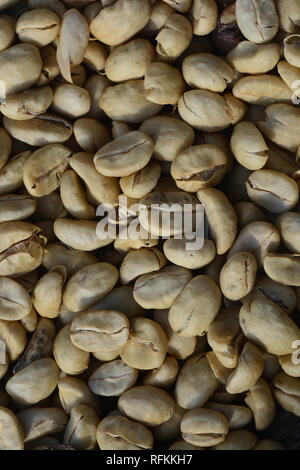 Define parchment coffee: dried but unhulled coffee beans ** note select ...