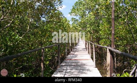 Bakhawan Eco Park, Kalibo, Aklan (1 Stock Photo - Alamy
