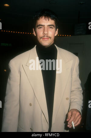WESTWOOD, CA - NOVEMBER 10: Actor Adam Trese attends Warner Bros ...