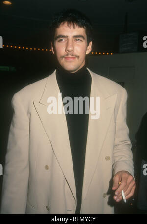 WESTWOOD, CA - NOVEMBER 10: Actor Adam Trese attends Warner Bros ...