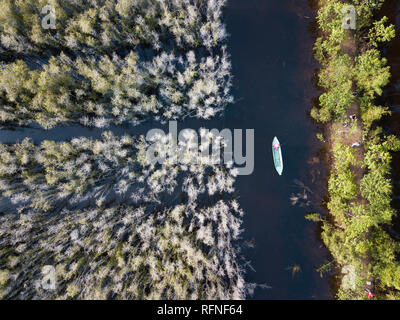 Aerial view of wooden boat at Melaleuca tree forest in Mekong Delta ...