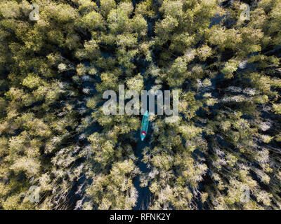 Aerial view of wooden boat at Melaleuca tree forest in Mekong Delta ...