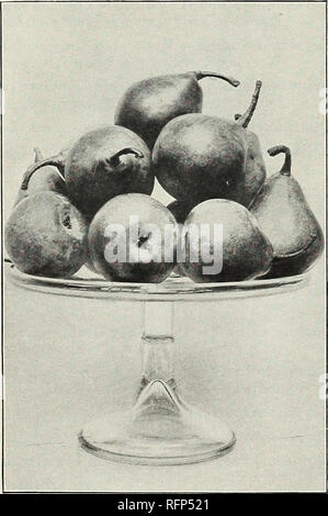 shape Pears 'Bartlett' variety in packing tray Stock Photo - Alamy