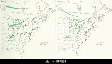 Acid Rain North America Acid Rain And Ozone Layer Depletion