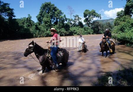 Ride into the Copan mountains, Honduras Stock Photo - Alamy