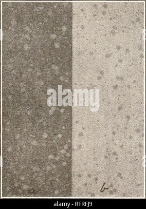 Lead acetate test for hydrogen sulphide in gas. . To test thetruth of ...