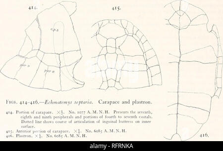 . Carnegie Institution of Washington publication. STRUCTURE. 37 The ...