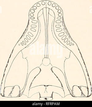 . Carnegie Institution of Washington publication. so PERMO ...