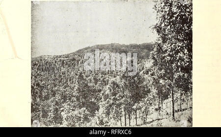 The Vokes family Stock Photo - Alamy