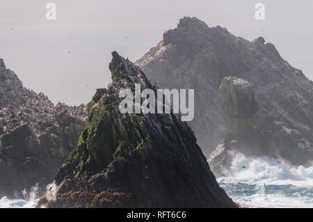 The Shag Rocks are six small, uninhabited, islands on the most western ...