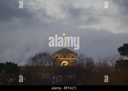 Devon County Council, County Hall, Exeter Stock Photo - Alamy