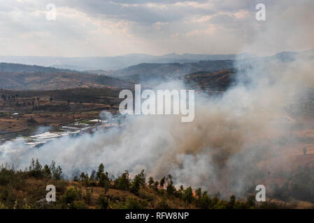 Slash and burn Stock Photo - Alamy