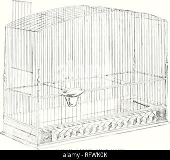 Canaries in cages at a bird show in Sidcup , Kent . 1936 Stock Photo ...