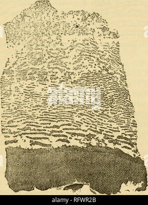 Serpentine mineral under the microscope Stock Photo - Alamy