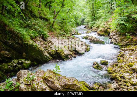 The Radovna river flowing through the Vintgar Gorge near Bled in ...