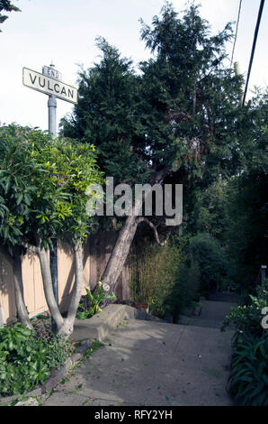 The Vulcan Stairs in San Francisco connect two blocks near the Castro ...