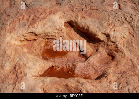 Close up of three toed dinosaur tracks at the Moenkopi Dinosaur Tracks ...