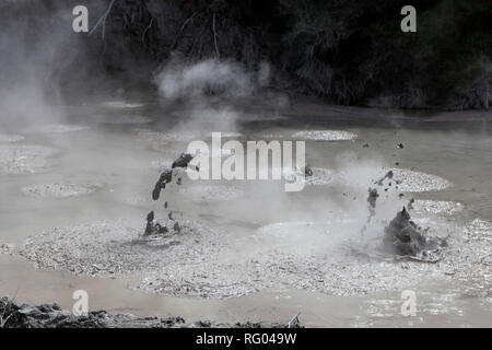 Hot mud pool at the Wai-O-Tapu thermal area, near Rotorua, North Island ...