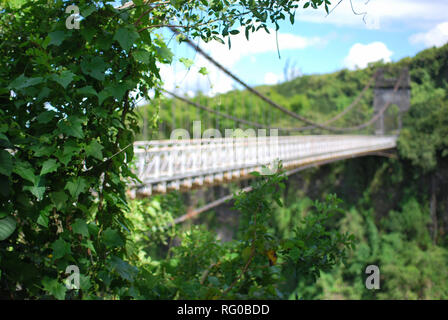 suspended bridge on la reunion island Stock Photo - Alamy