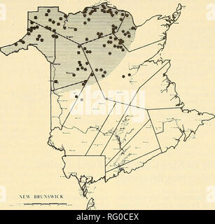 New Brunswick Department of Natural Resources (DNR) Forest Ranger ...