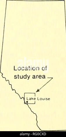 The Pipestone river, Lake Louise, Banff national Park, UNESCO World ...