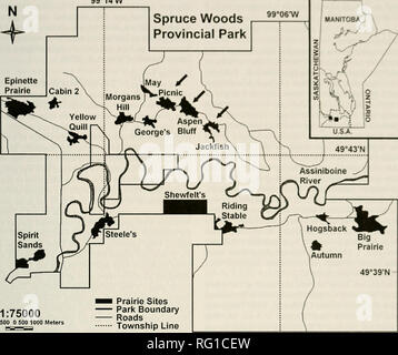 Manitoba/Spruce Woods Provincial Park: Brandon, Wanderweg "Spirit Sands ...
