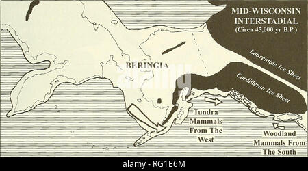 . The Canadian field-naturalist. 1996 MacDonald and Cook: Land Mammal ...