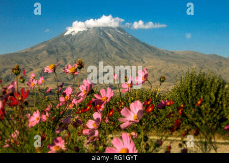 Mount Ararat; Turkey's highest mountain. Near Gurbulak Border Gate ...