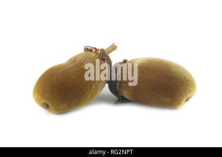 Baobab fruit (Adansonia digitata) isolated on white background Stock ...