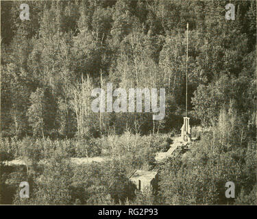 A mixed forest of Aspen, fir and pine trees in the Dixie national ...