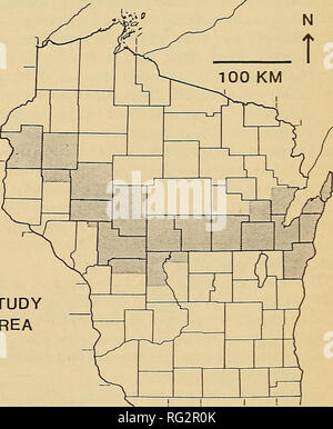 Snowshoe hare in northern Wisconsin Stock Photo - Alamy