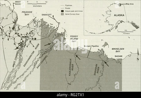 Alaska Pipeline elevated for river crossing near Fairbanks Stock Photo ...