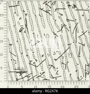 Chapleau Crown Game Preserve / Chapleau Crown Game Preserve Stock Photo ...