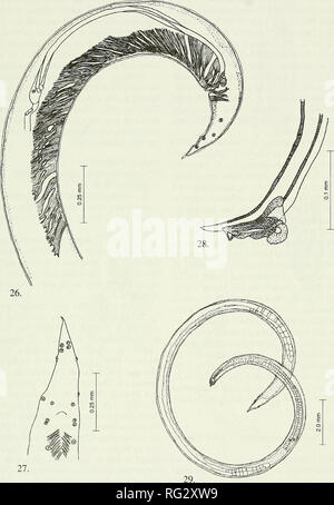 . The Canadian field-naturalist. 1998 McAlpine and Burt: Helminths of ...