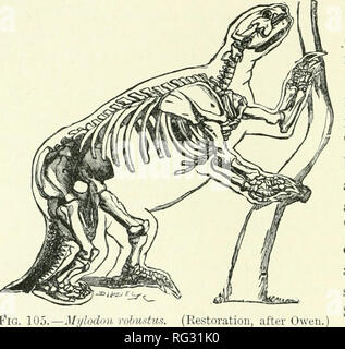 . The Cambridge natural history. Zoology. i8o FISHES 50 to 100, are ...