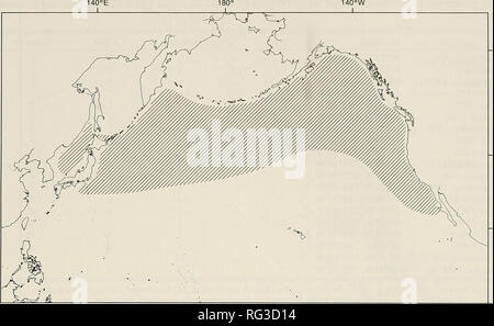 right whale dolphin range