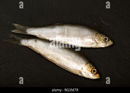 Sprats, sprattus sprattus, that have been bought from a supermarket in ...